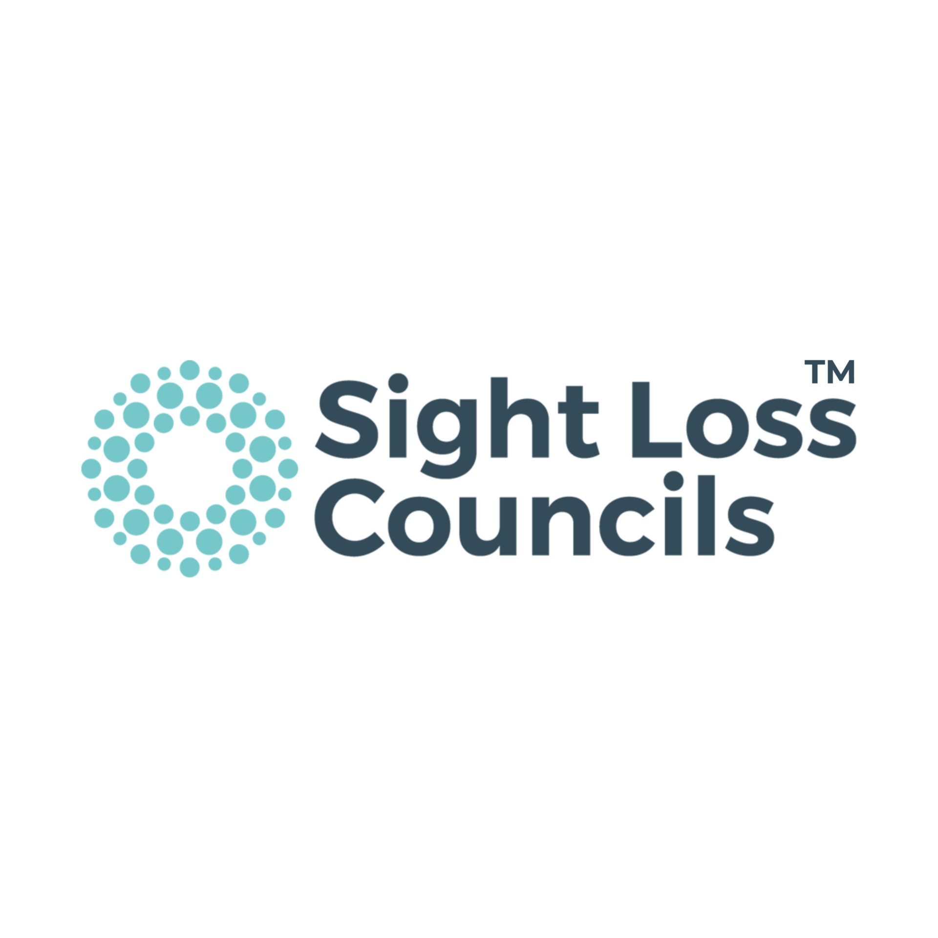 South West London Sight Loss Council: Try a Train – Railway 200